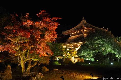 京都 鹿王院の紅葉2021年版闇に浮かぶ舎利殿が見所人数限定の夜間特別拝観を解説紅葉見頃や見どころもご紹介 じゃぱたびっくす