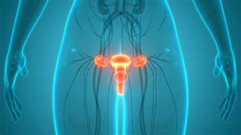 Teen Gets Blood Clot In Brain From Birth Control Pills — Heres What