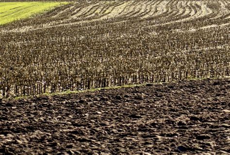 How To Understand And Measure Soil Water Grainews