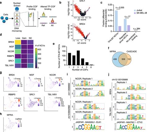 Profiling TF COF Complex Binding Altered By NCVs A Overview Of The