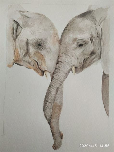 Pin De Mr Left Smithers En Arte Pintura Acuarela De Elefante Arte