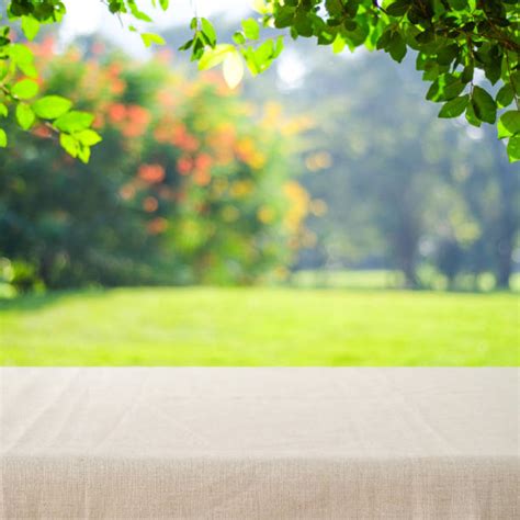 51200개 이상의 공원 테이블 스톡 사진 그림 및 Royalty Free 이미지 Istock