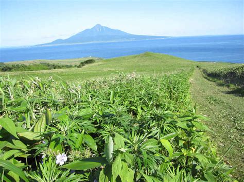礼文島（北海道 The絶景