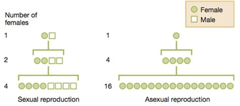 Biology 108 Final Examination Flashcards Quizlet