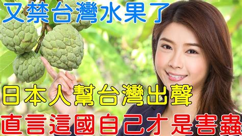 台灣釋迦蓮霧又出名了 繼鳳梨之後 中國再度禁止台灣水果進口 日本人說希望台灣這兩種水果可以賣到日本 並且替台灣仗義直言 說中國不配加入