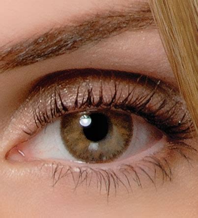 Lentes De Contato Mel Ocre E Castanho Claro Dicas De Modelos Naturais