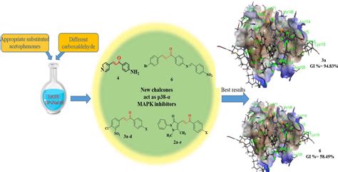 Recent Advancements And Developments In The Biological Importance Of