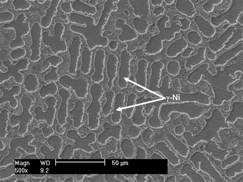 Micrograph Of The Nicrbsi Soft Coating After Chemical Etching With