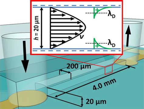 Electrical Detection Of Dna Immobilization And Hybridization By