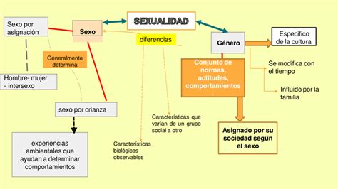 Mapas Mentales De La Sexualidad 【descargar】