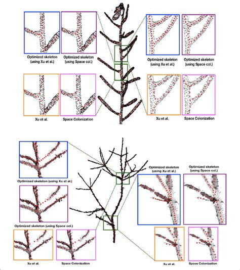 skeletonization results on 2 datasets arabidopsis plant top and
