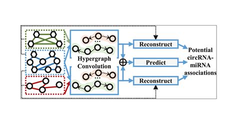 Multirelational Hypergraph Representation Learning For Predicting