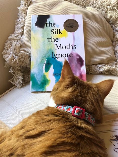 Contemporary Notes Dr Bronwen Tate By Jillian Hess