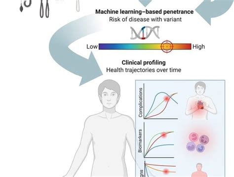 Ai And Lab Tests To Predict Genetic Disease Risk Lifeboat News The Blog