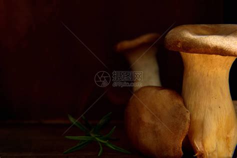 新鲜有机野生平菇高清图片下载 正版图片503842827 摄图网