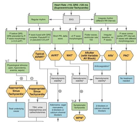 Approach To Narrow Complex Tachycardia