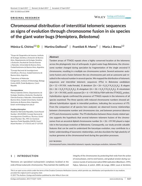 Pdf Chromosomal Distribution Of Interstitial Telomeric Sequences As