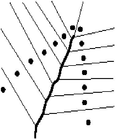 Skeleton Extracted By Means Of Voronoi Diagram The Thick Line