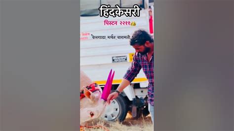 हिंदकेसरी Pistion 2211 ️👑🔥नादएकचबैलगाडाशर्यत बैलगाडाशर्यत