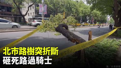 北市中山北路路樹突倒 騎士遭重壓送醫搶救後不治