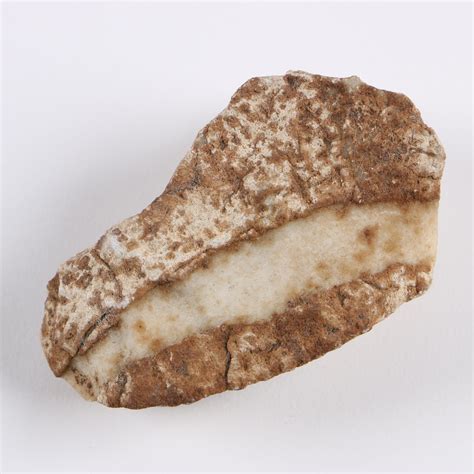 Assorted Rock Specimens With Bivalve Ebth