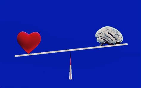 amit singh rawat on linkedin balancing data and intuition in creative strategy data tells you