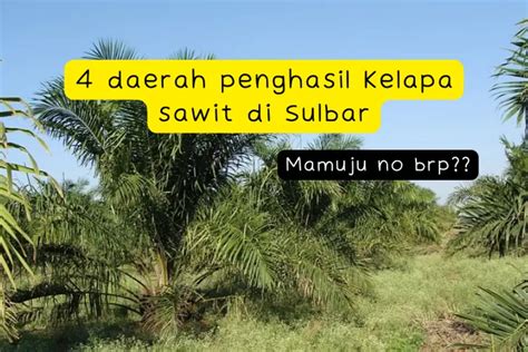 HANYA ADA 4 Inilah Daftar Daerah Penghasil Kelapa Sawit Di Provinsi