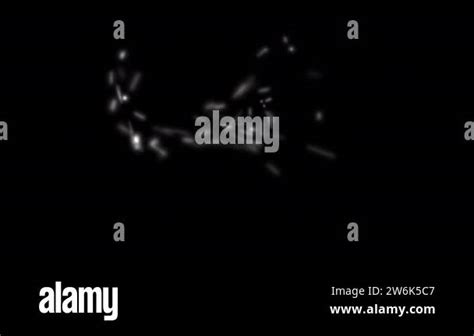 Quarks In Space Stock Videos And Footage Hd And 4k Video Clips Alamy