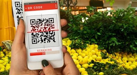 Qr Code Scanning Photos By Canva