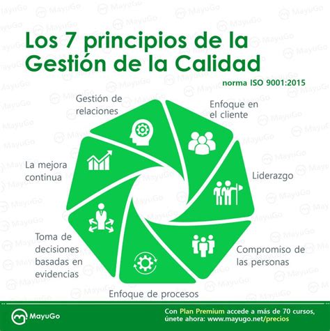 Los 7 Principios De La Gestión De La Calidad Ivan Franco Rojas