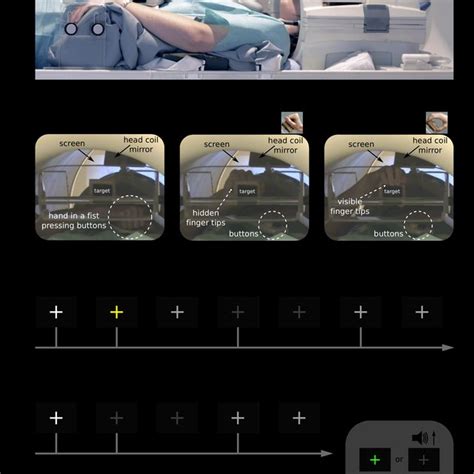 1 Experimental Setup Design And Timing A View Of The Setup From The Download Scientific