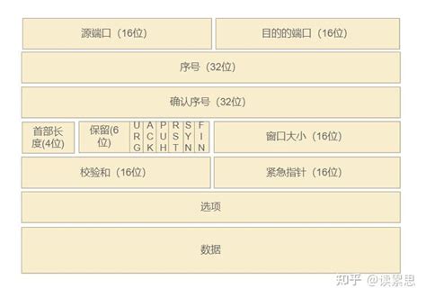一文解析tcp协议所有知识点 知乎