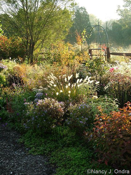 How To Create A Wild Naturalistic Garden Artofit