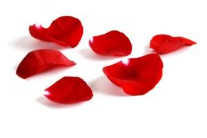 3 Ways To Detox Your Love Life Rethink Central