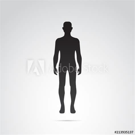 Human Body Silhouette Vector At Vectorified Collection Of Human