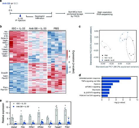 Siglec 8 Mab Negatively Modulates The Il 33 Activated Mc Transcriptome Download Scientific