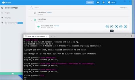 Mariadb Reset Root Password Databasefaqs