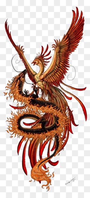 Phoenix Chinese Dragon Fenghuang Tattoo Dragon Phoenix Free