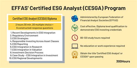 Effas Certified Esg Analyst Cesga Our Epic Guide 300hours