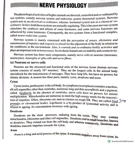 Nerve Physiology Neurons And Their Classification Classification Of Nerves And Nerve Fibres