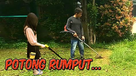 Cara Memotong Rumput Jepang Brandon Kelly