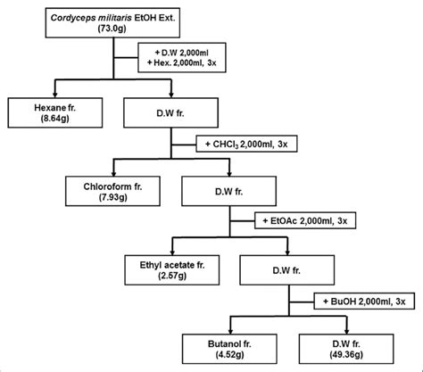 Fractionation Scheme Of Cordyceps Militaris Protocol For The Best