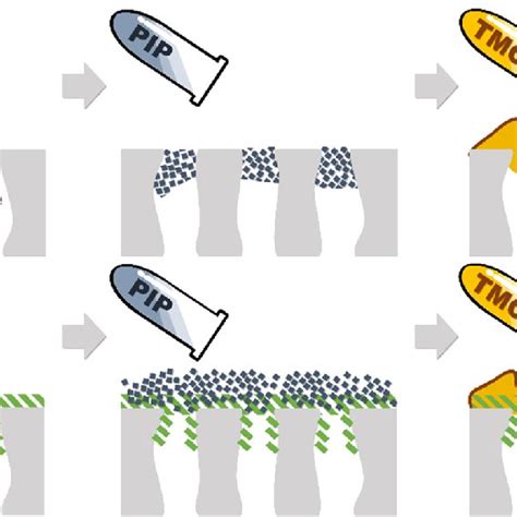 Schematic Diagram On The Fabrication Of A Tfc And B Tfni Membranes