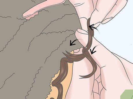 How To Do Tree Braids With Pictures WikiHow Life