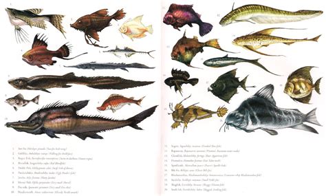 Skull Island Fishs Skull Island Prehistoric Creatures Curious Creatures