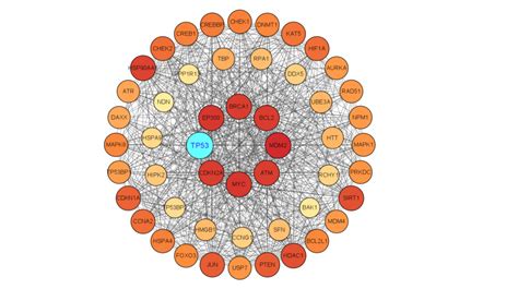 可视化分析 每日生物评论