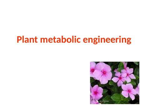 Pptx Plant Metabolic Engineering Ppt Dokumentips
