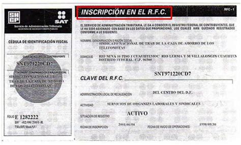 Conocer Mi Rfc