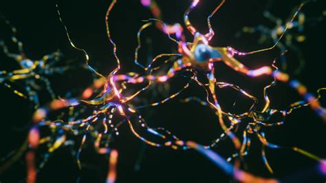 Early Signs Of Multiple Sclerosis Is There A Mental Health Connection