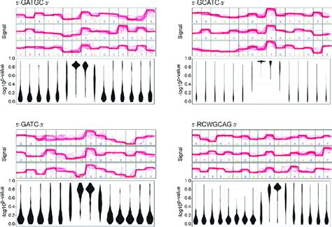 Prediction Of The Four Most Prominent Dna Methylation Patterns Detected Download Scientific